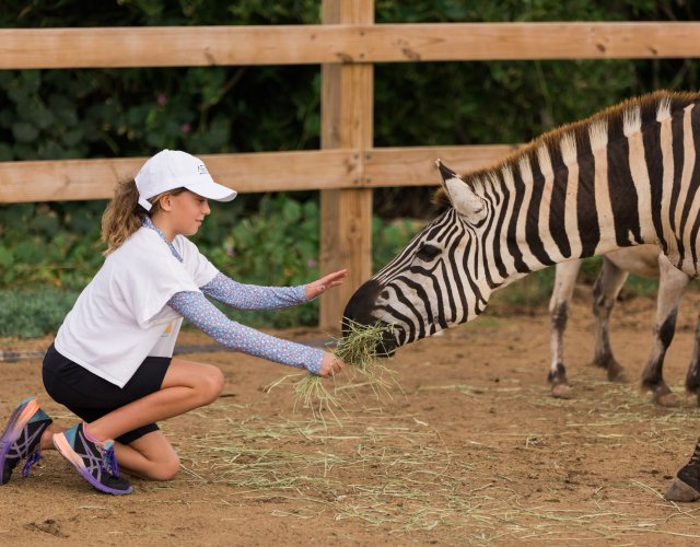 Redemption Ranch - The Aerial, BVI – All Inclusive Luxury Private ...