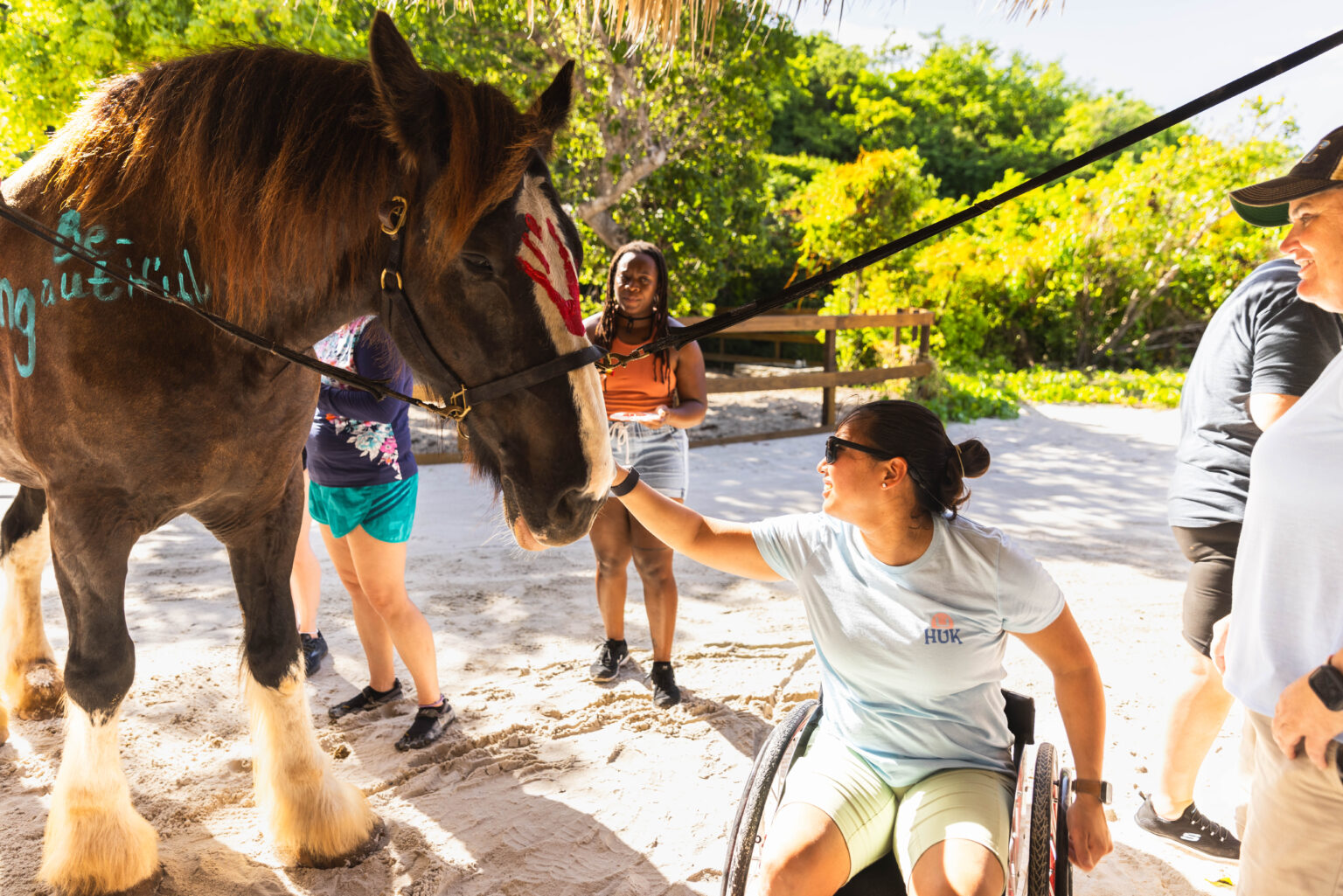 6 Popular Types of Equine Therapy Explained