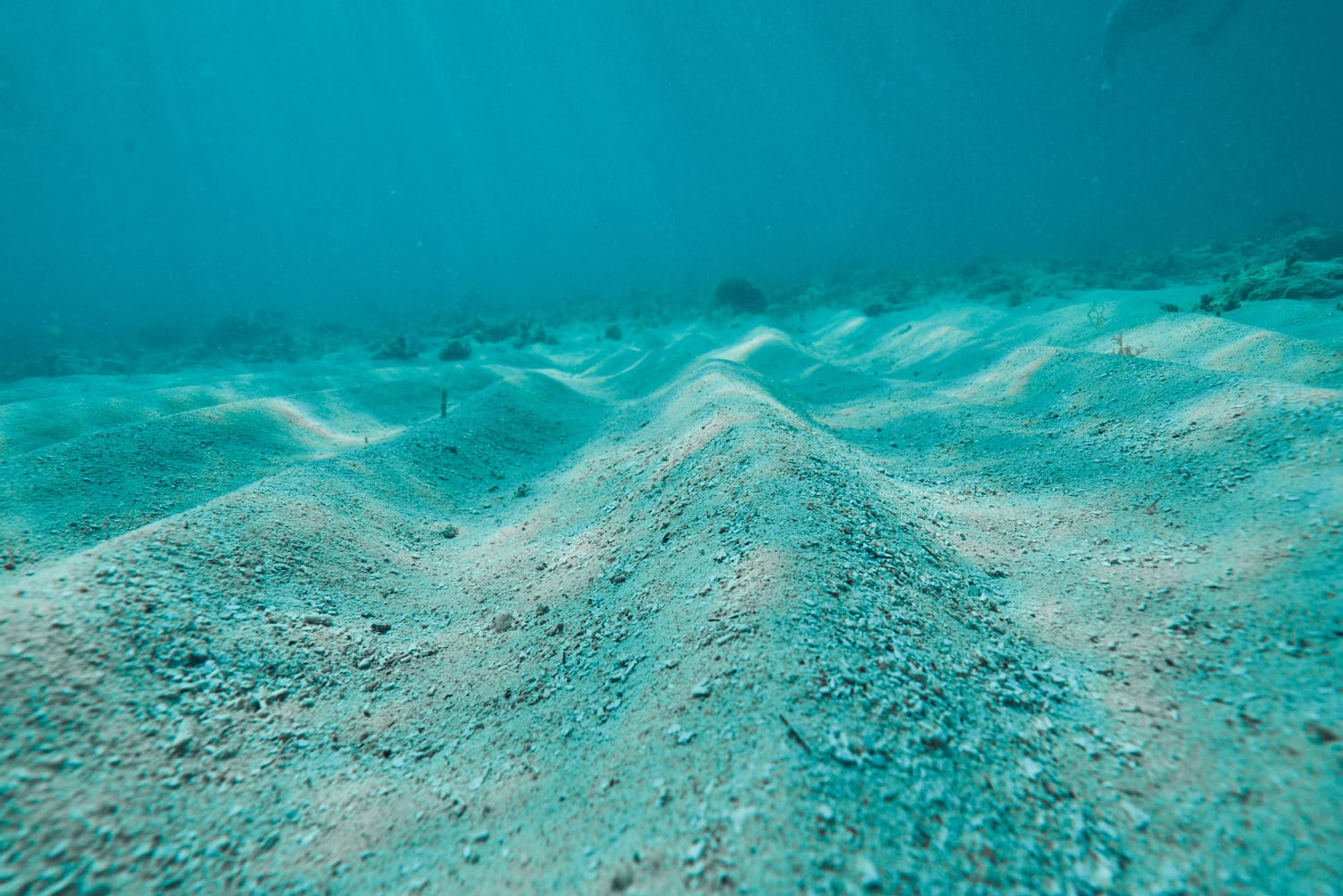 Traveler’s Guide to Scuba Diving in BVI & Must-See Dive Spots