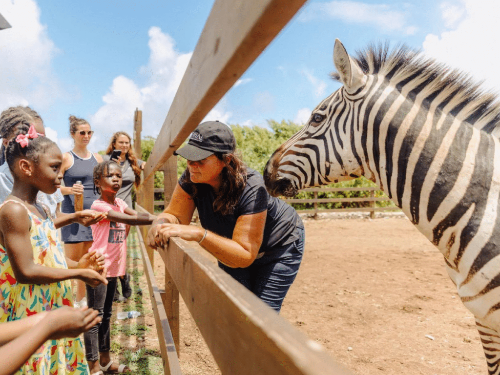 Redemption Ranch - The Aerial, BVI – All Inclusive Luxury Private ...